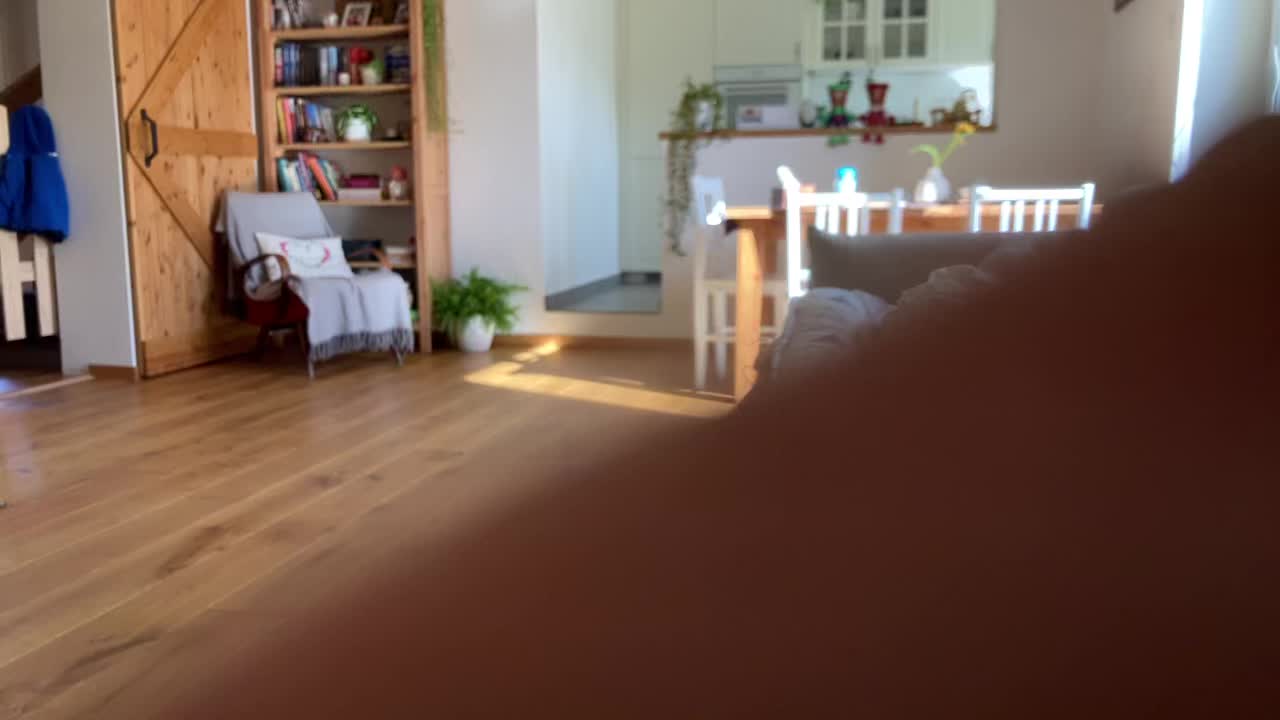 Ndjd vs. Ndndj - 0 : 1