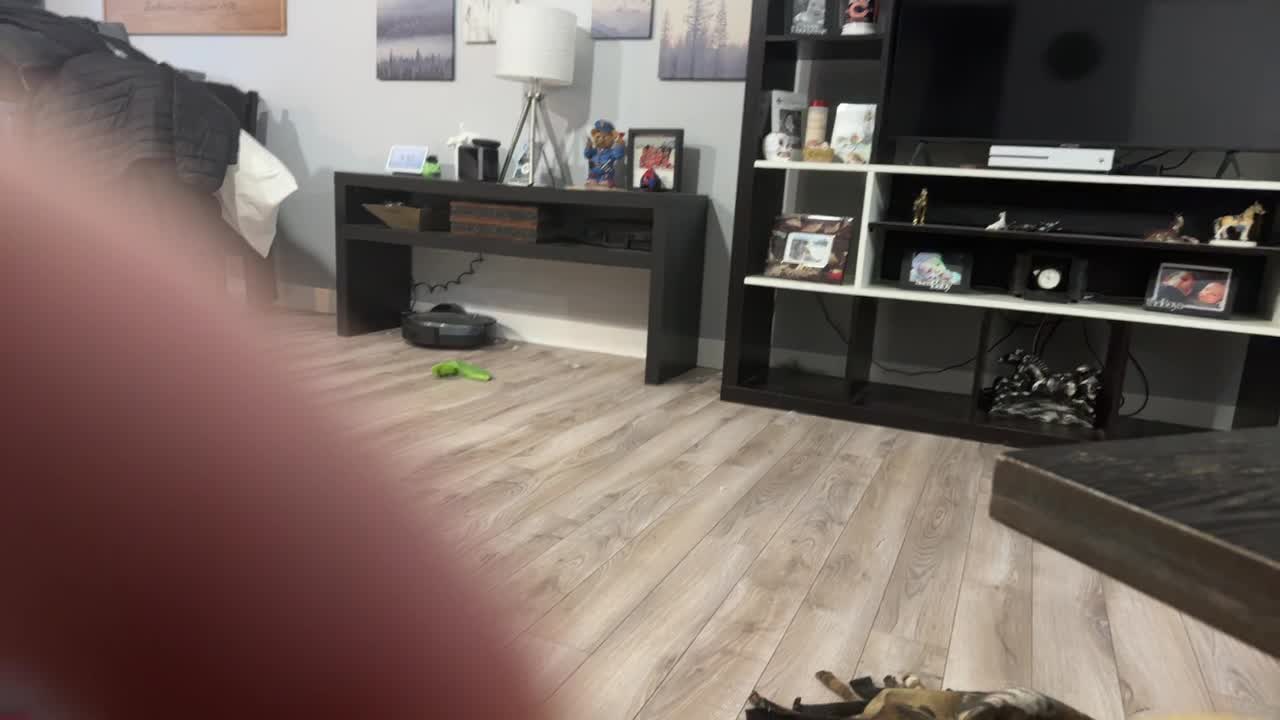 Sun Prairie Groundhogs vs. Madison Patriots - 1 : 1